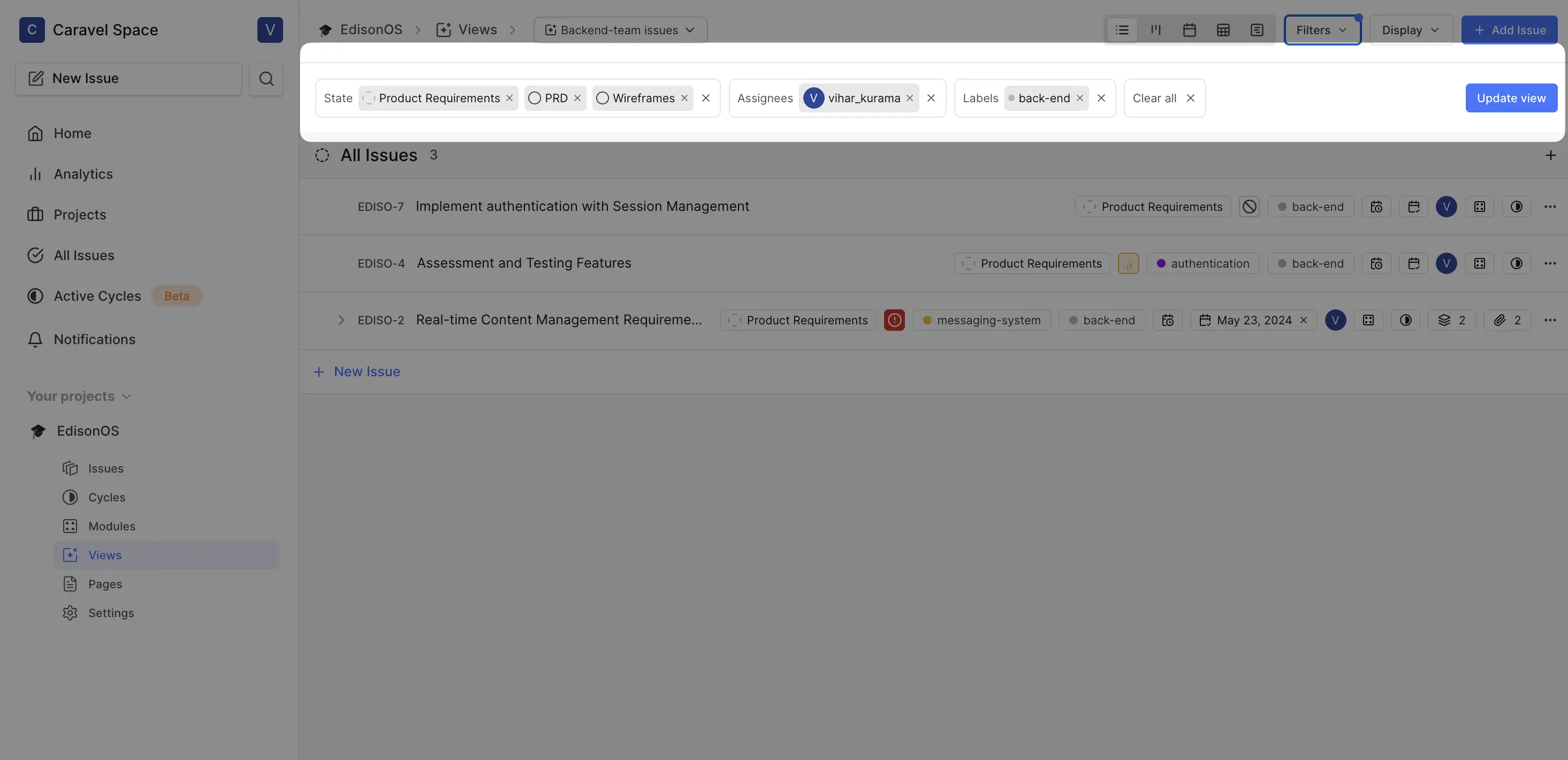 How software consulting companies use Plane for client management